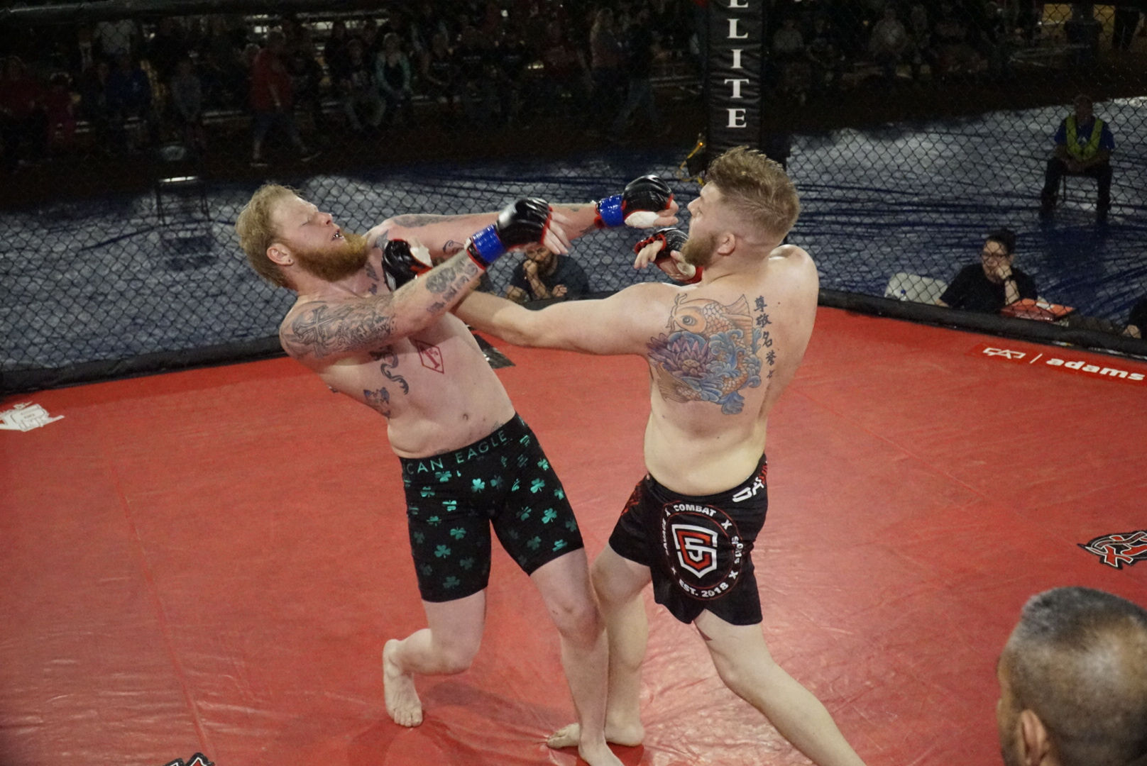 News – Titans of the Cage
